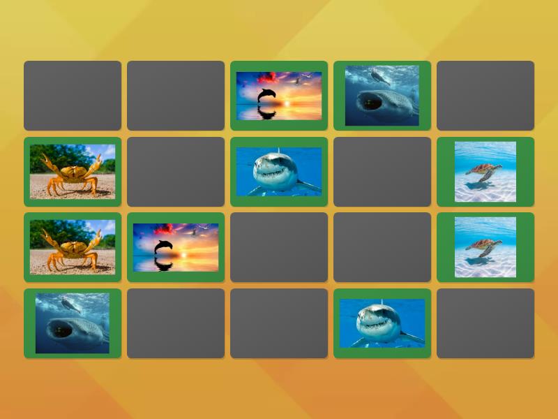 Ocean Animals - Matching pairs