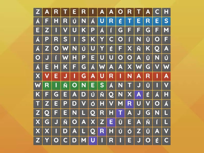 Órganos del sistema urinario - Sopa de letras