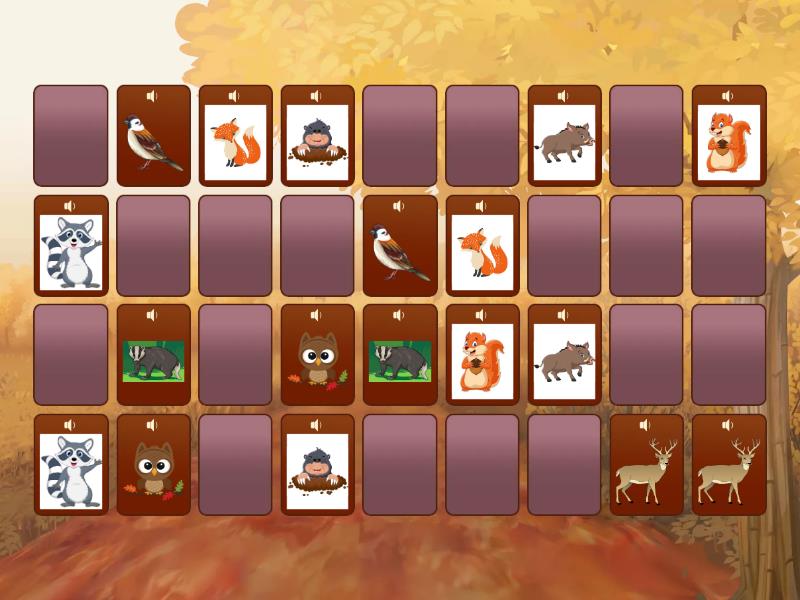 Forest Animals - Matching pairs