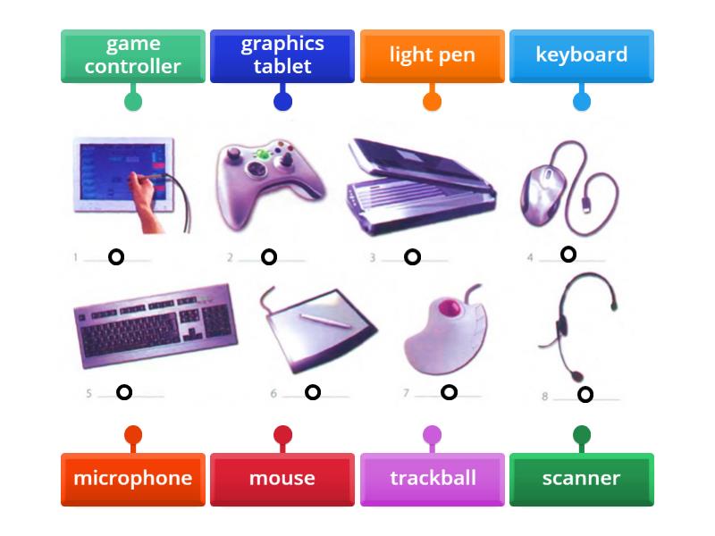 Input devices - Labelled diagram