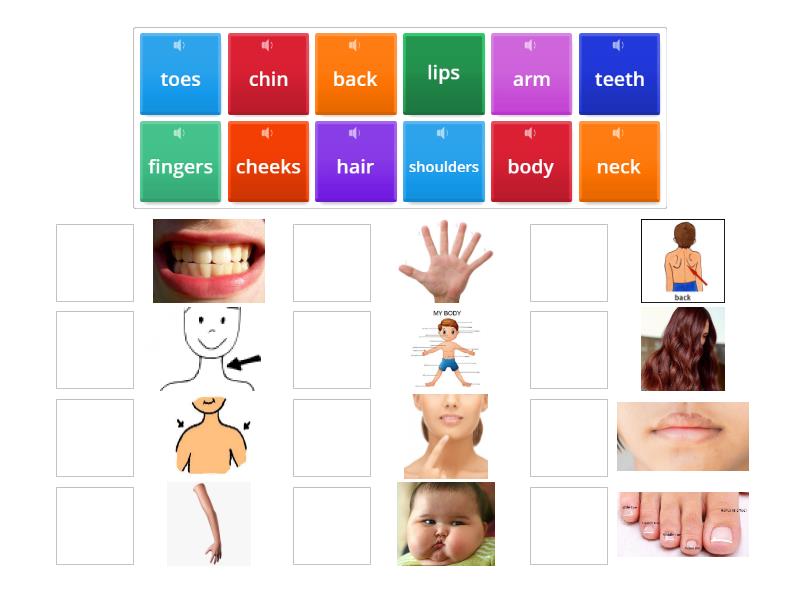 body part chin cheeks - Match up