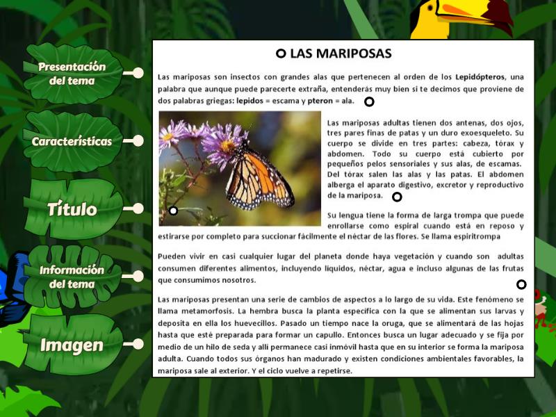 PARTES DEL TEXTO INFORMATIVO - Imagem com legenda