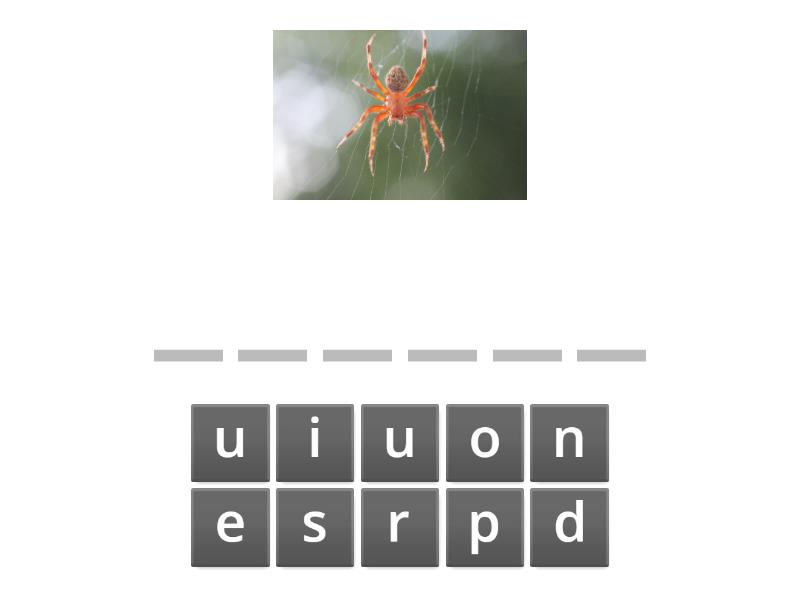 rabbit, bird, ... - Spell the word