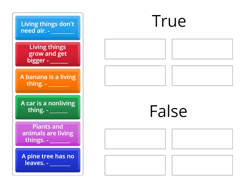 True or False - Group sort