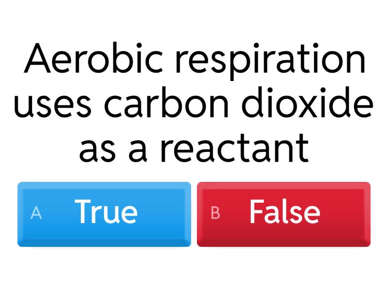 Aerobic and Anaerobic Respiration + Uses - Quiz