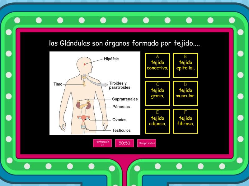Sistema Endocrido - Concurso de preguntas