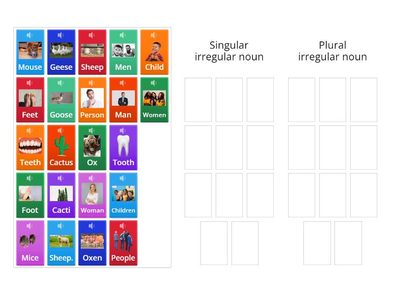 irregular nouns - Group sort