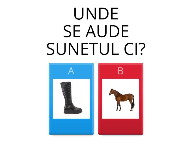 UNDE SE AUDE SUNETUL CI? - Quiz