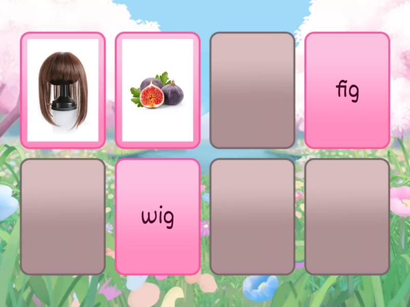 ig family - Matching pairs