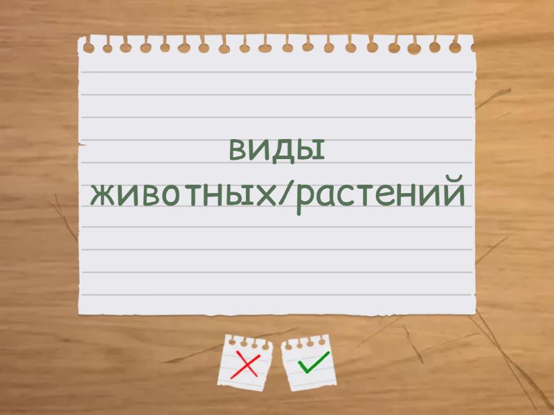 S7 Module 8A - Flash cards