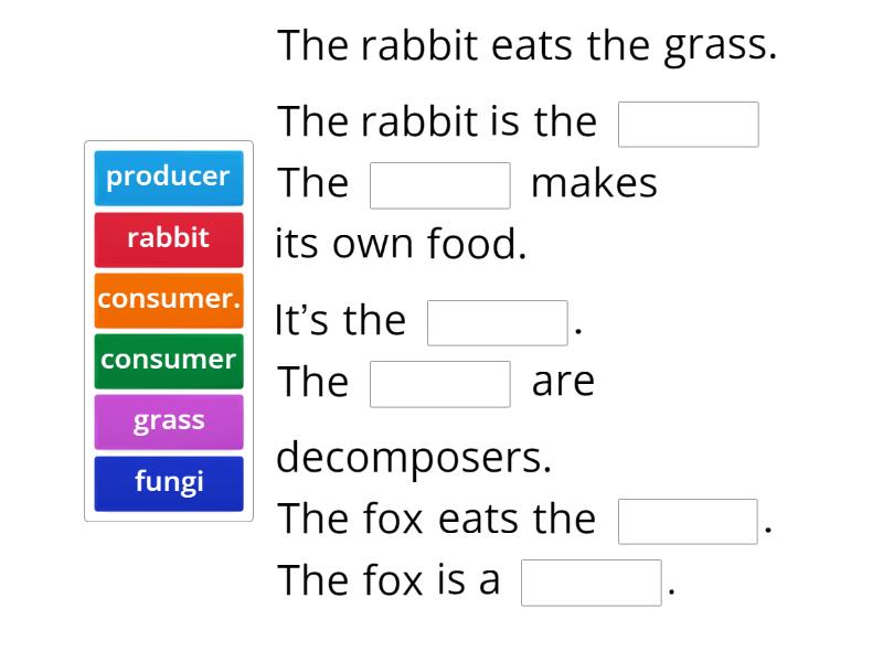 Order the food chain and complete the sentences. - Completa la oración