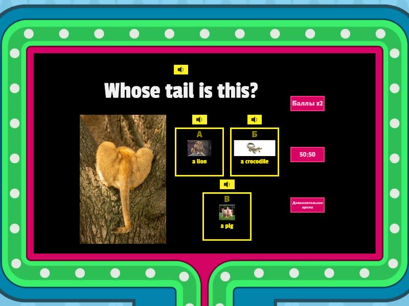 Whose tail is this? - Gameshow quiz