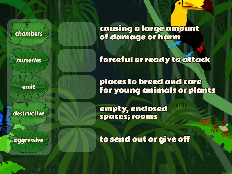 Social Insects: Ants and Termites - Match up