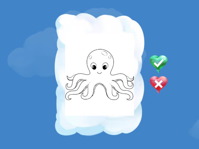 MNO review - Flash cards