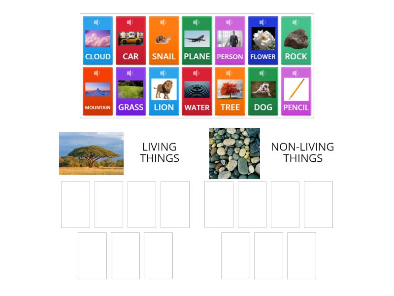LIVING AND NON-LIVING THINGS - فرز المجموعات