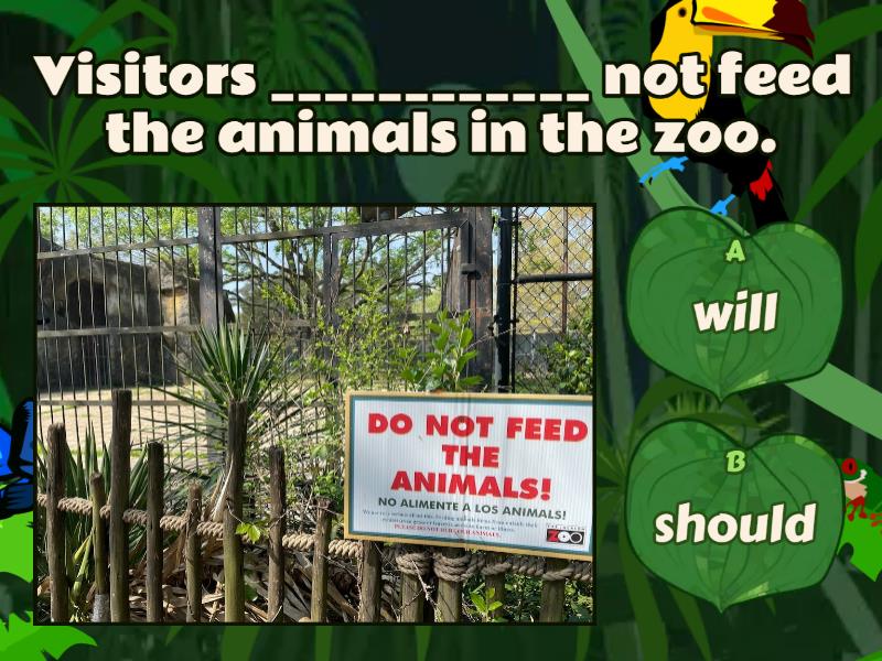 Modal verbs and zoos - Grammar - Quiz