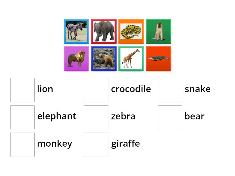 Zoo animals - Match up