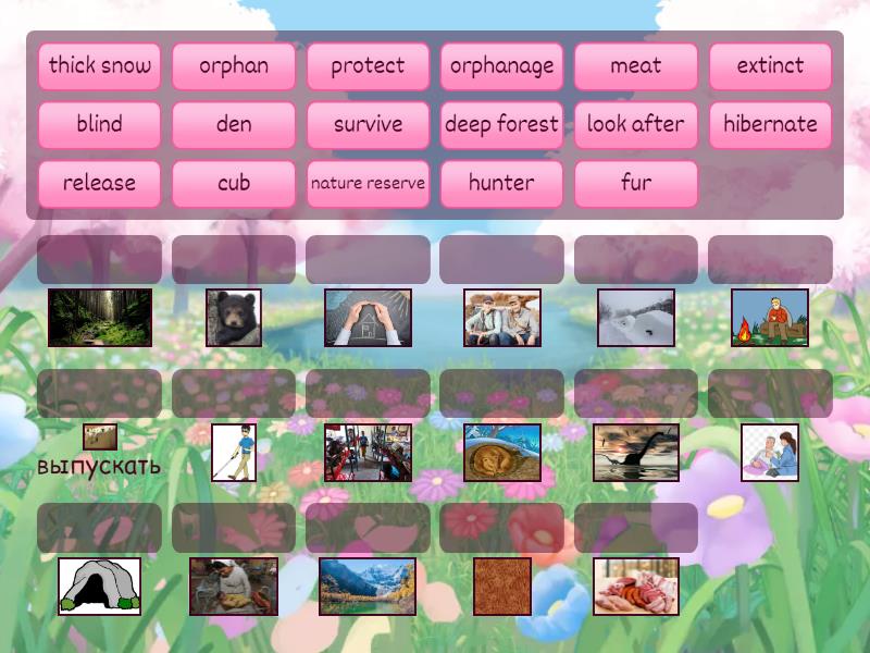 Project 4 Unit 5B - Match up