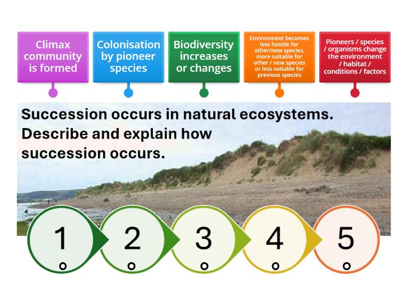 Succession in natural ecosystems - A LEVEL BIOLOGY – 7402 AQA ...