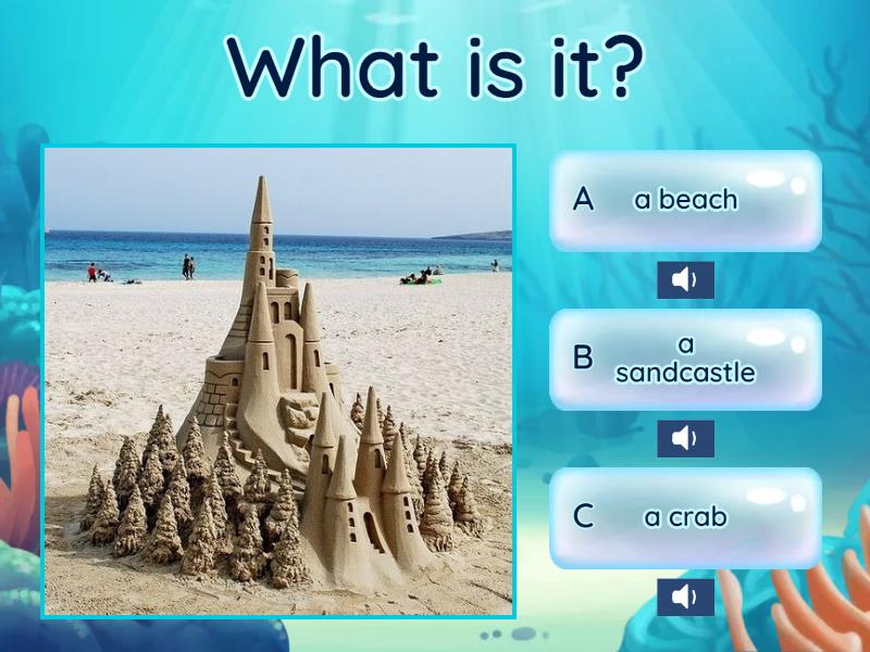 F&F-1 Unit 15.1 On the beach - Quiz