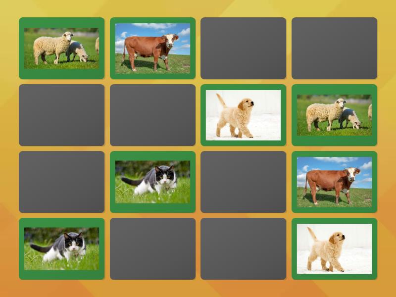 domestic animals - Matching pairs