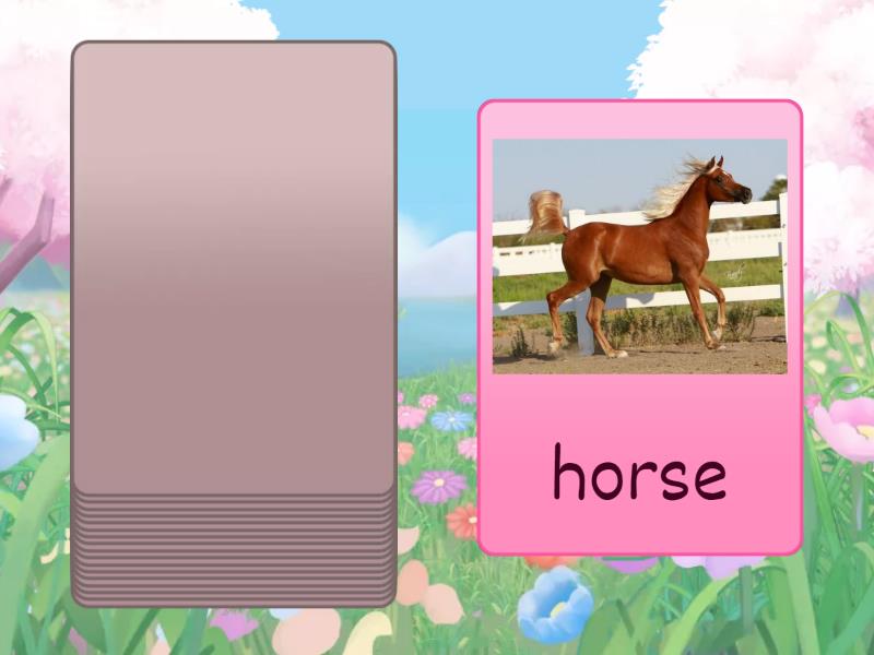 Animals - Speaking cards