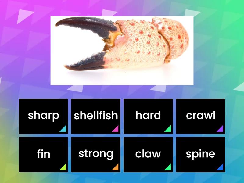 Unit 10 reading 2 - Find the match