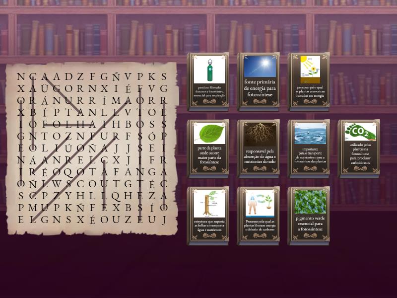Hp - Wordsearch