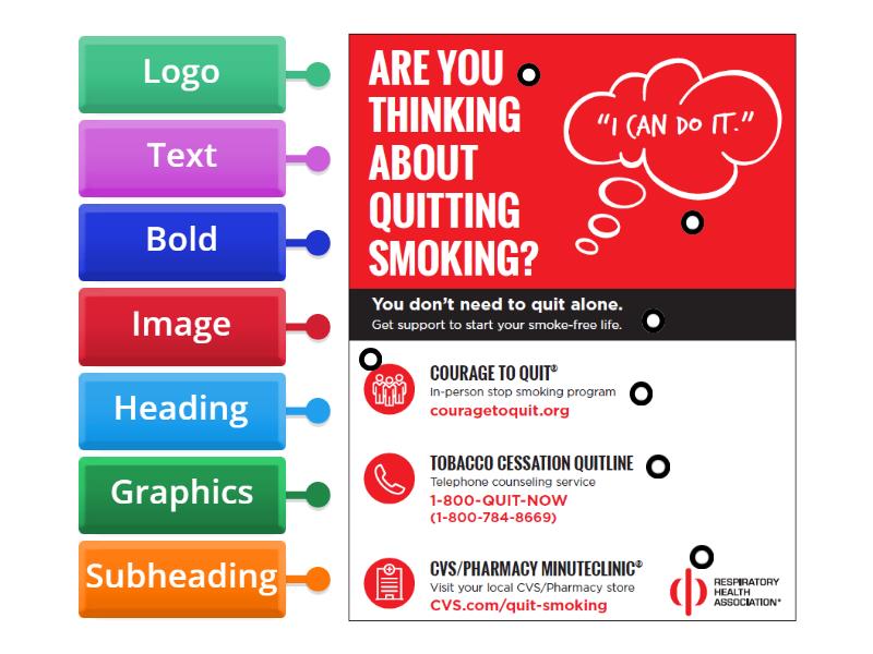 Organisational Features 1 - Labelled diagram