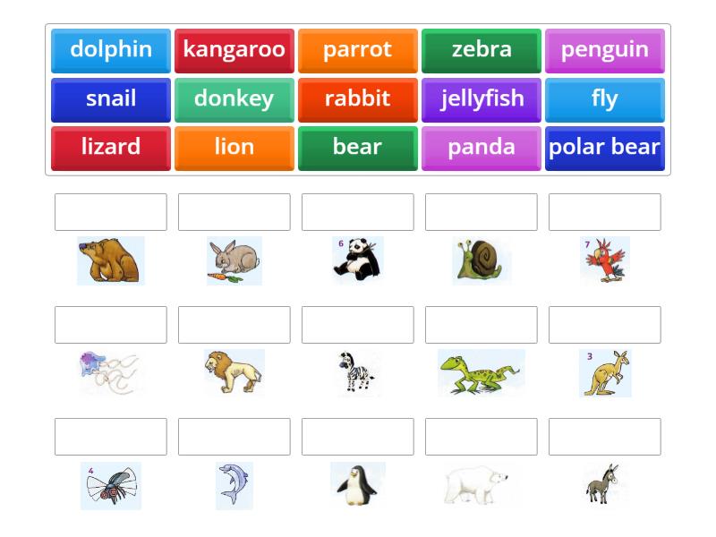 Movers animals - Match up