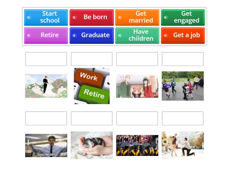 Stages of life - Match up