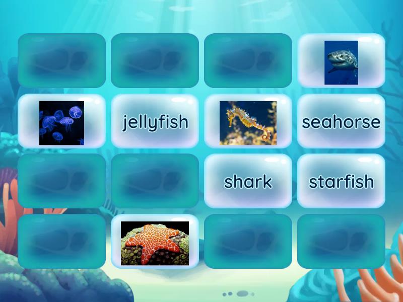 Under the sea memory game- Senior Infants - Matching pairs