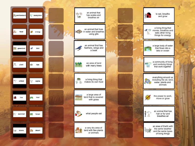 ULS Unit 12- Knowing our Ecosystems - Match up