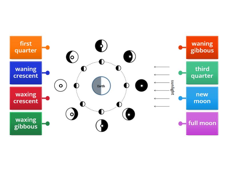 Moon Phases - Labelled diagram