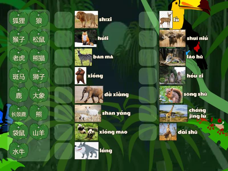 Wild Animals - Match up