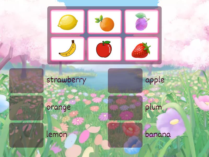 Fruit - Match up