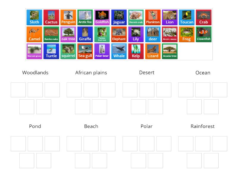 Plant and animal habitats - Group sort