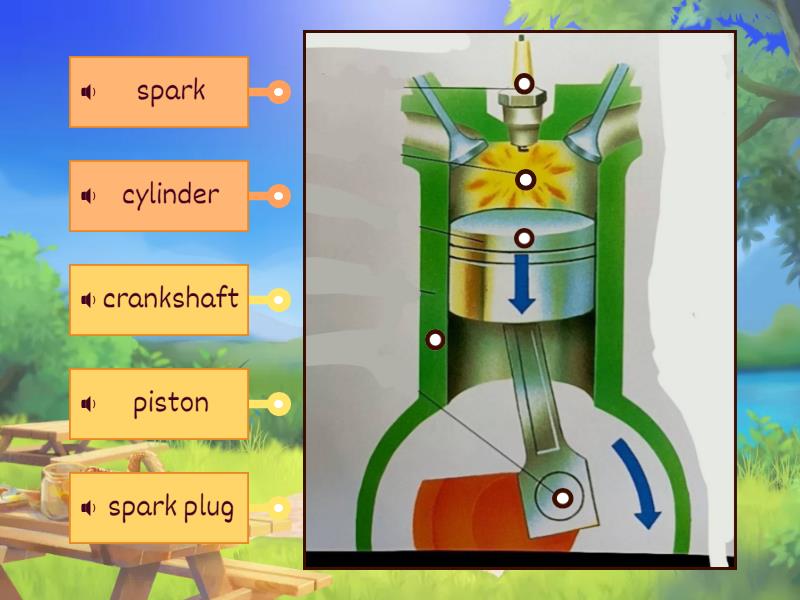 Inside a Car Engine - Labelled diagram