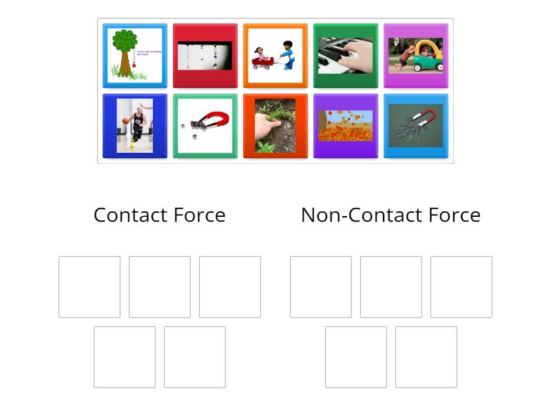 Contact and Non-Contact Forces grade 3 - Group sort