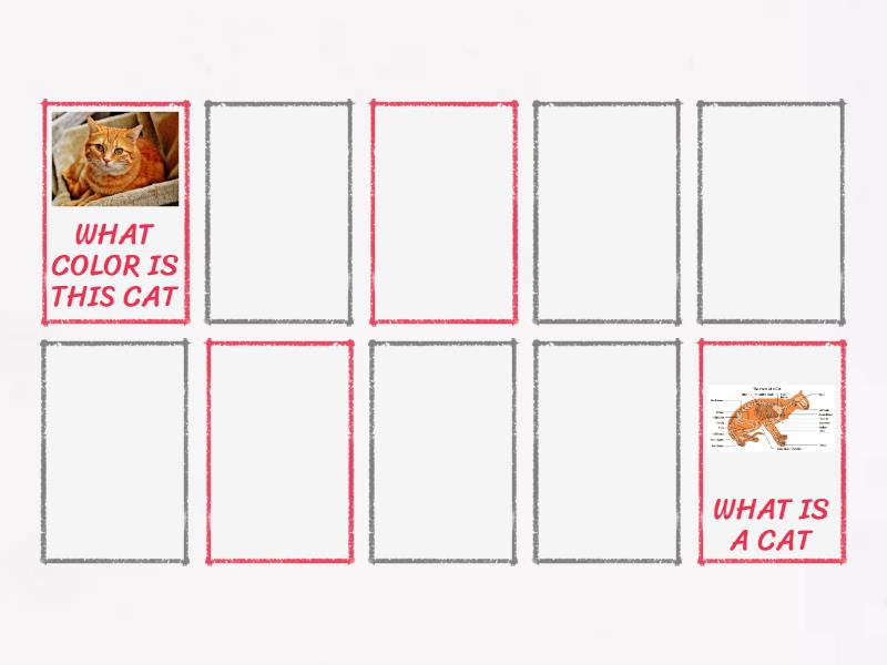 CATS! - Matching pairs