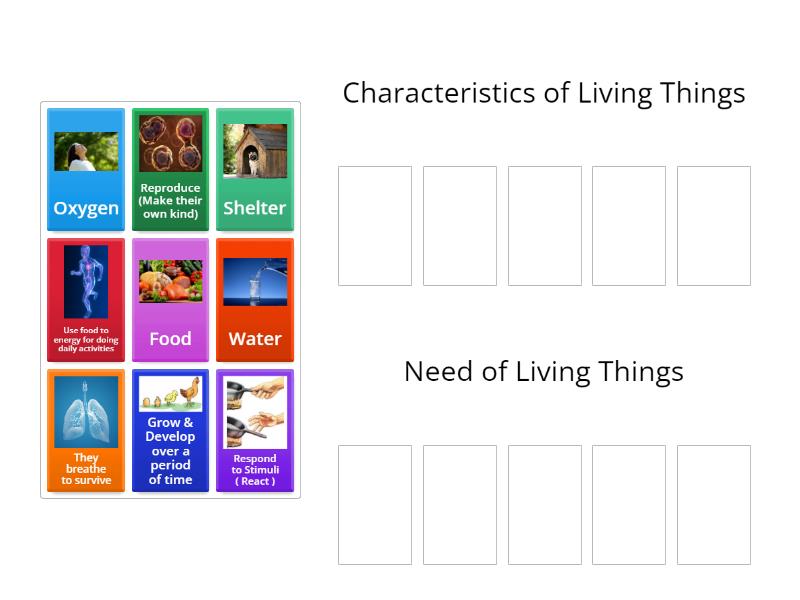 Characteristics and Needs of Living Things - Group sort