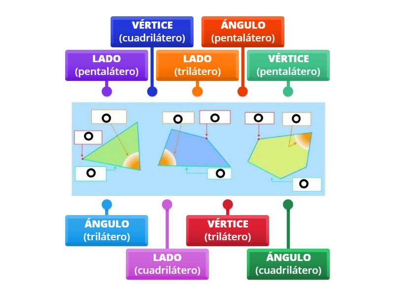 PARTES DE LOS POLÍGONOS 2 - Labelled diagram