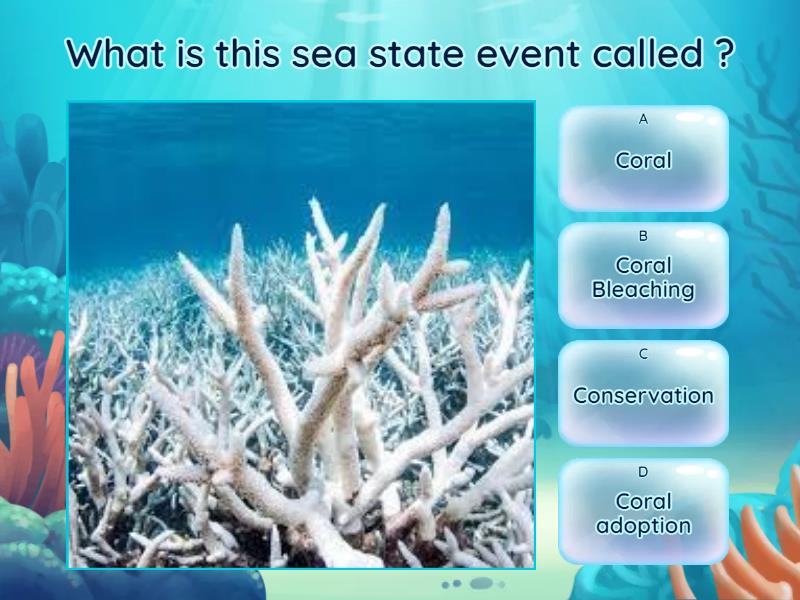 Marine Ecosystem - Quiz
