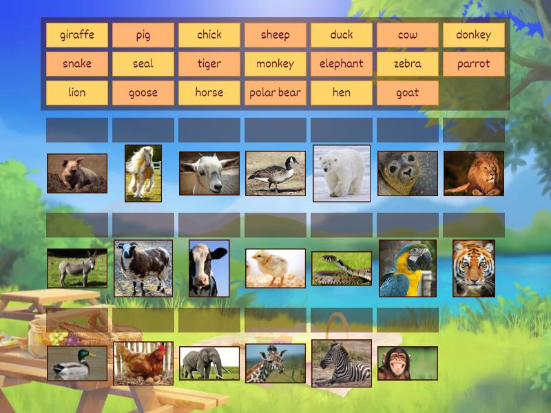 Animals (farm + wild animals) - Match up