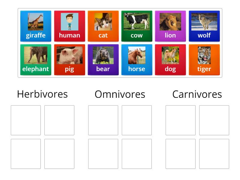Herbivores, Omnivores, and Carnivores - Group sort