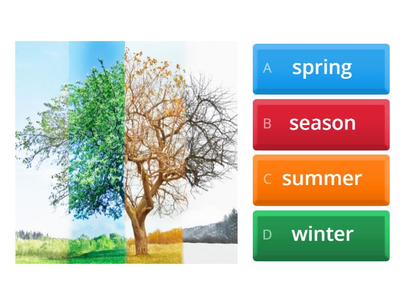 Seasons - Quiz