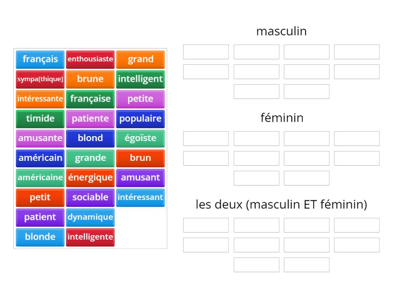 L'accord des adjectifs - Masculin et féminin - Bon voyage ch1 - Ordenar ...