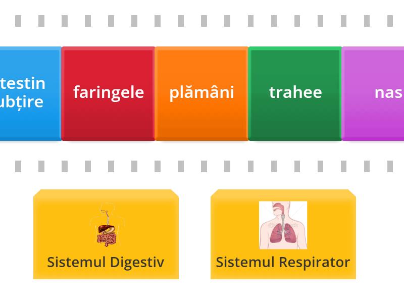 Recapitulare - Speed sorting