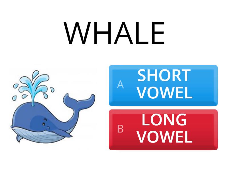 THE VOWELS SOUND WITH ANIMAlS - Quiz