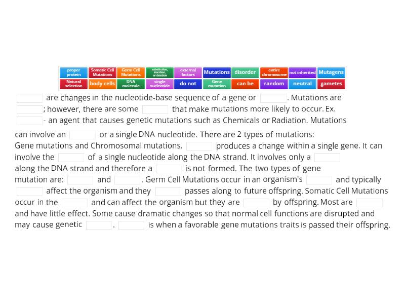 Mutations (Gene Mutations) - Complete the sentence